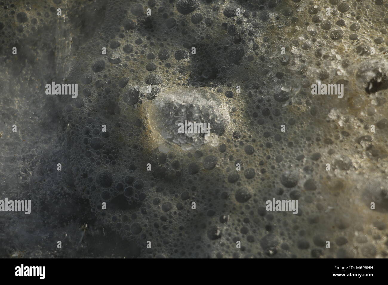 Frozen foam at the beach Stock Photo - Alamy