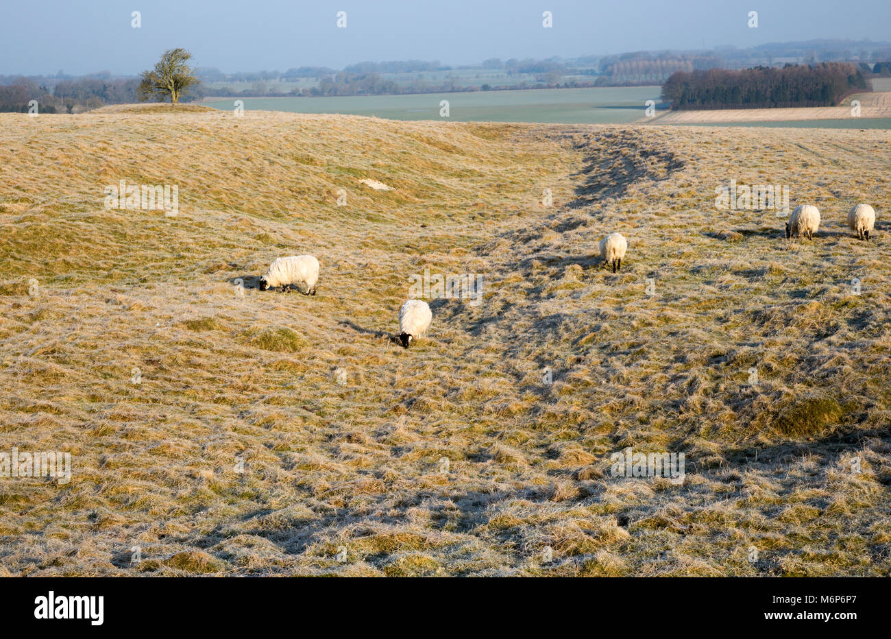 Causewayed enclosure enclosure hi-res stock photography and images - Alamy