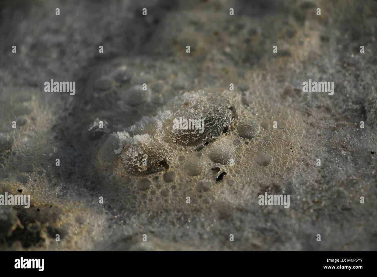 Frozen foam at the beach Stock Photo - Alamy