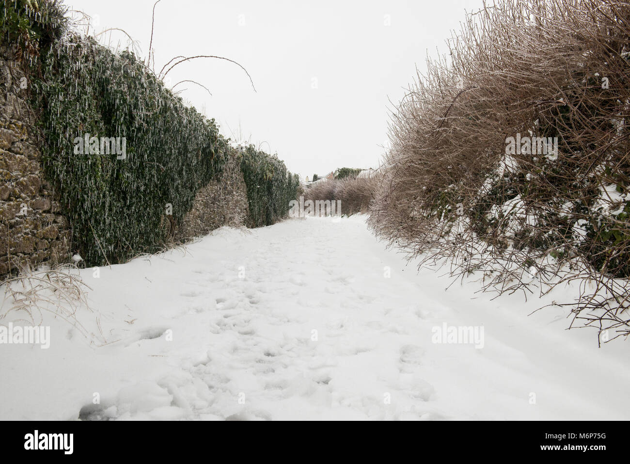 Images of a South Devon village in the snow fall in 2018 Stock Photo ...