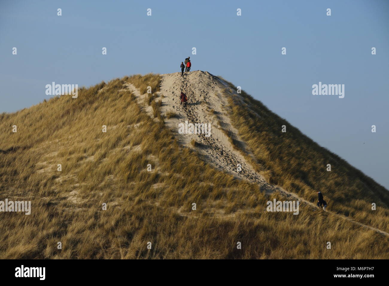 Dune landscape in the winter Stock Photo - Alamy