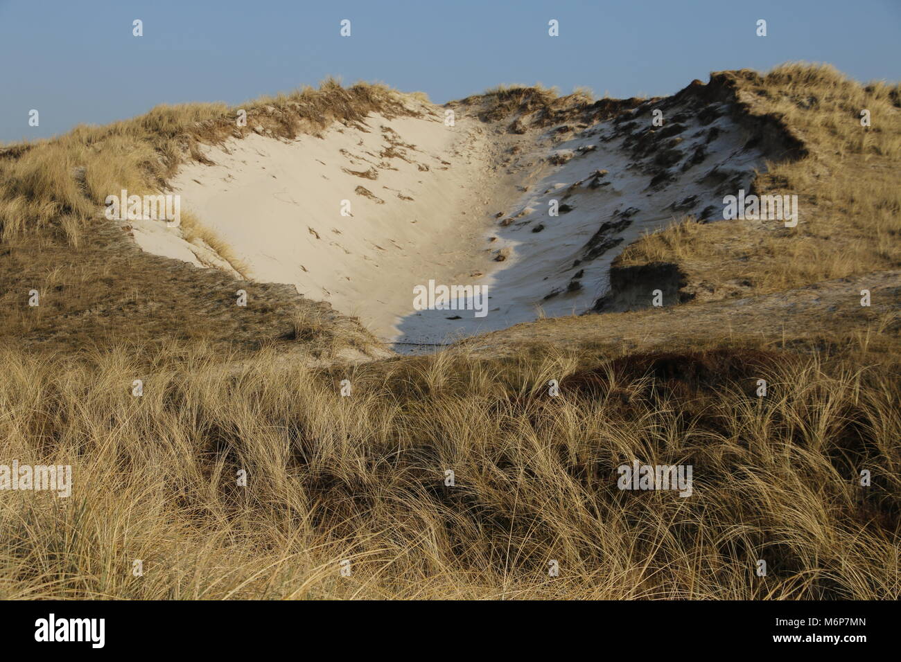 Dune landscape in the winter Stock Photo - Alamy