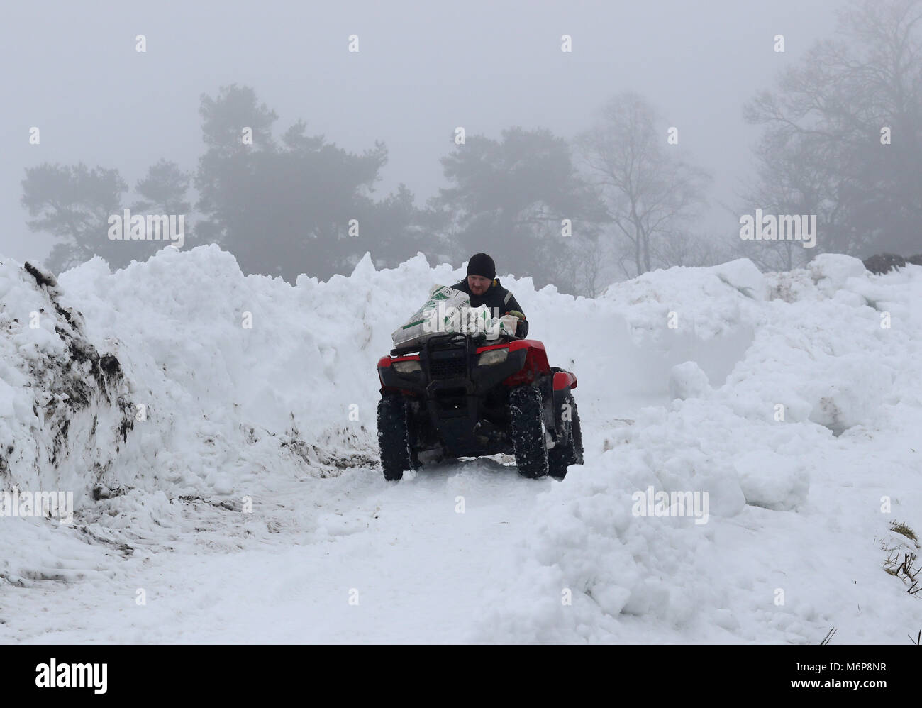 Farmer Peter Laidlaw from Craigannet Farm in the Carron Valley near ...