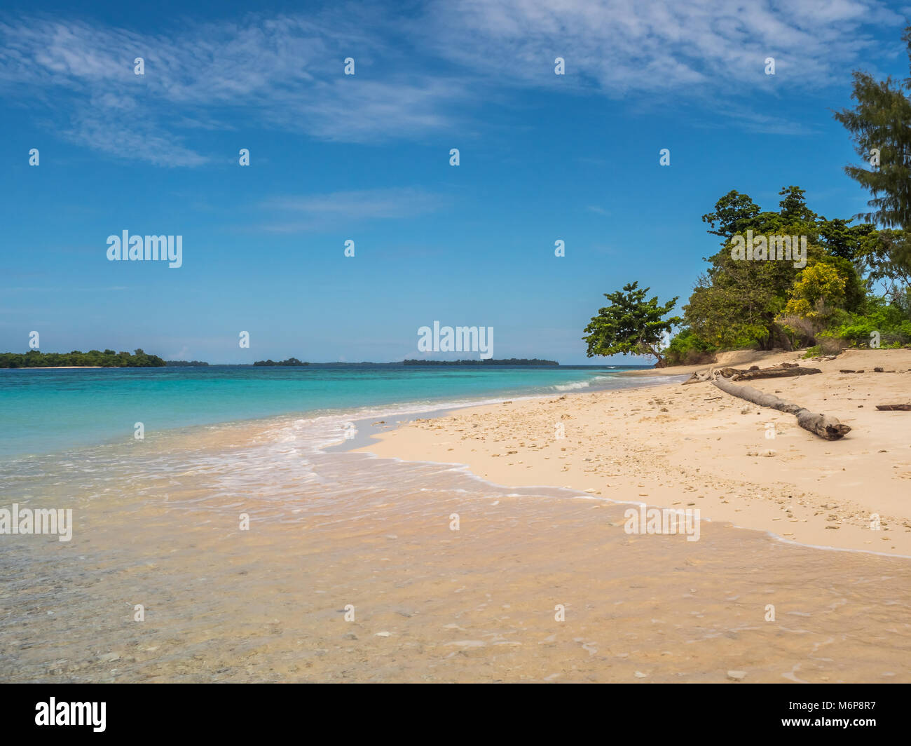 Tree on the beautiful tropical beach on one of Seven Islands, near the ...