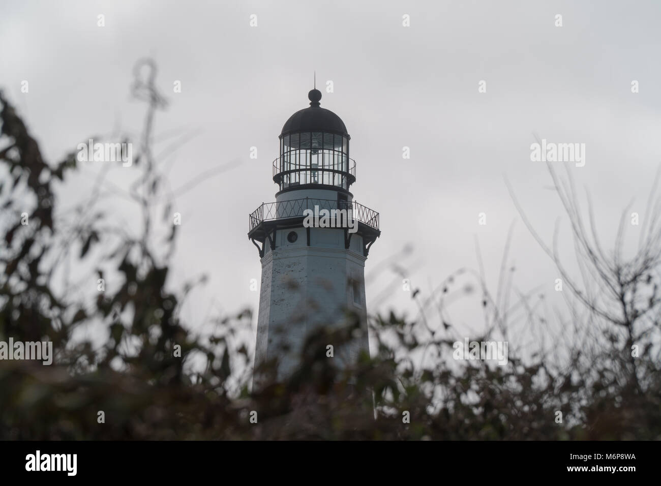 Tall generic lighthouse peer over green nature space shrubs and trees ...