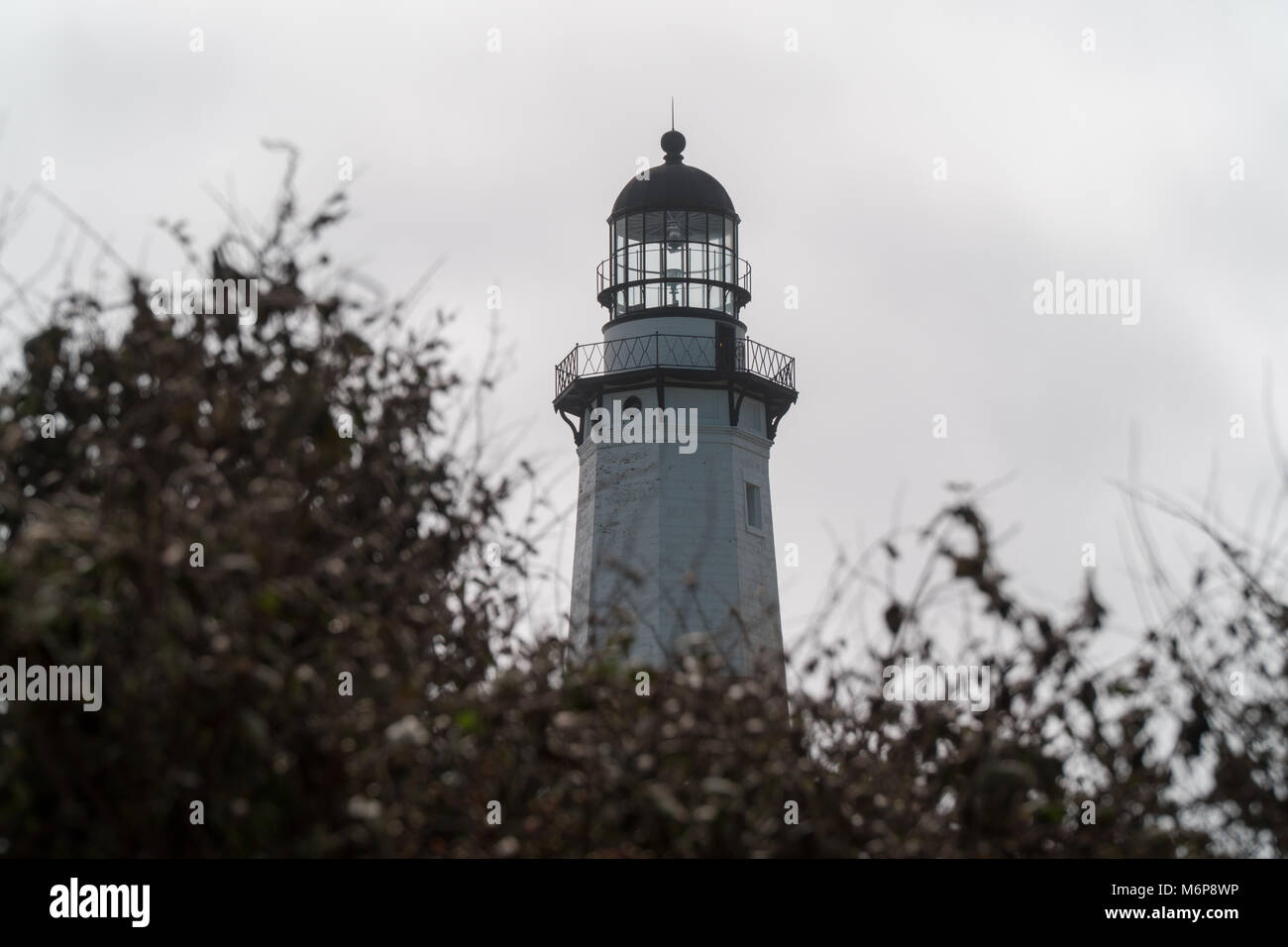 Tall lighthouse over autumn foliage green nature park space. Nautical ...