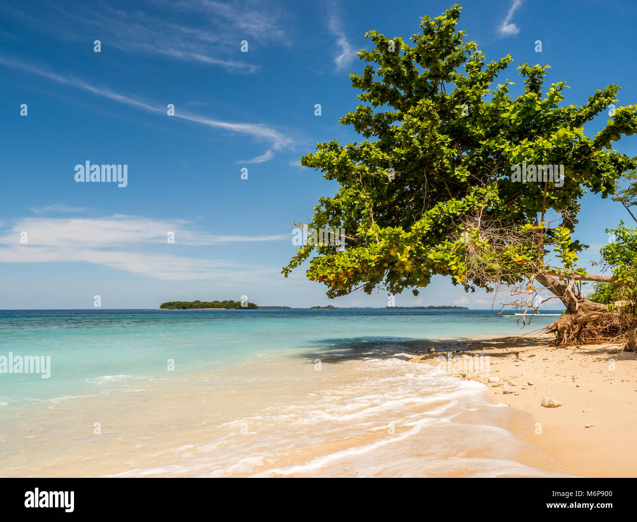 Tree on the beautiful tropical beach on one of Seven Islands, near the ...