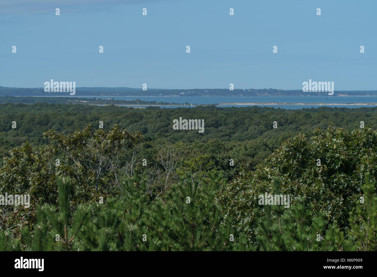 Beautiful scenic overlook view of bay side harbor past tropical forest ...