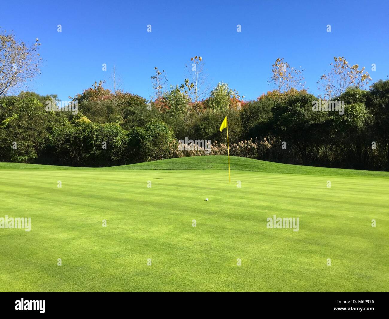 Beautiful day time view of public golf course green hole with ball ...