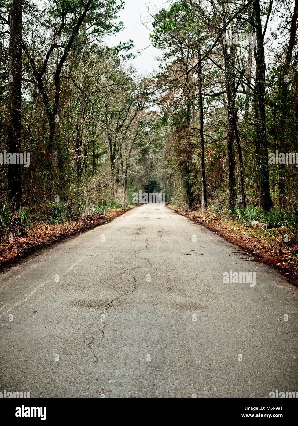 Road to nowhere texas hi-res stock photography and images - Alamy