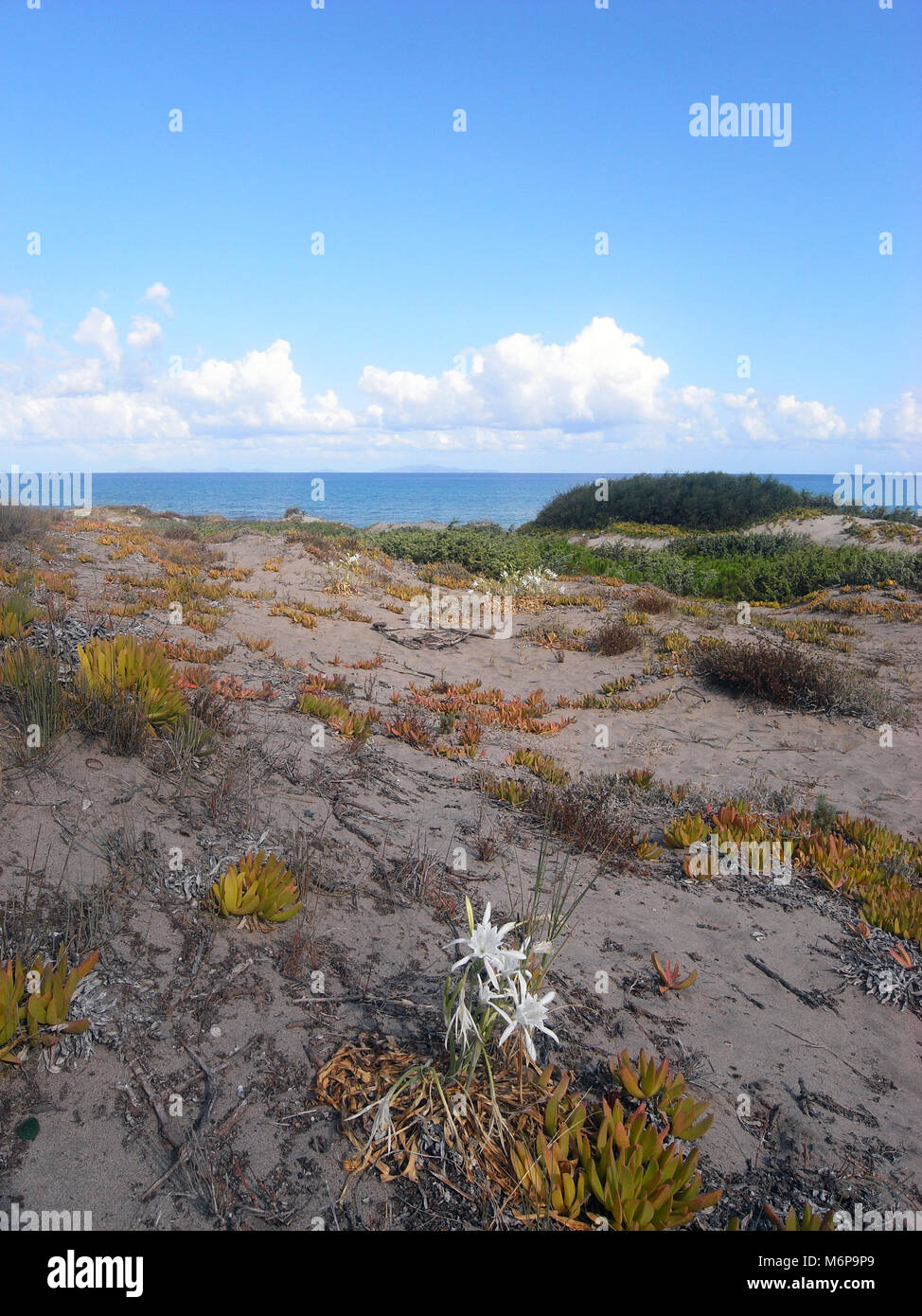 Marina di Sorso, Platamona beach, Sardinia Stock Photo - Alamy