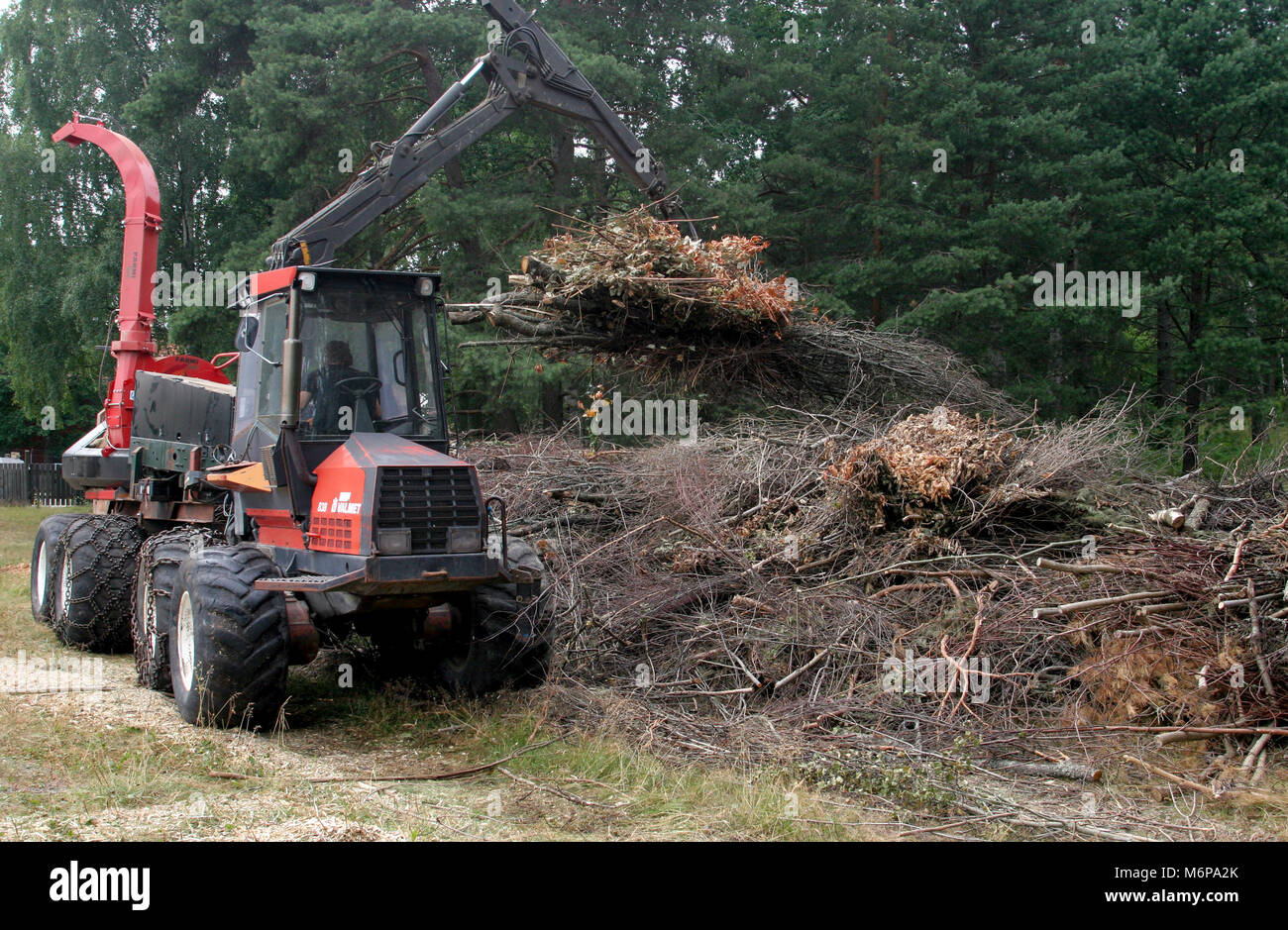 FOREST RESIDUES are tiled for energy recovery in the thermal plants ...