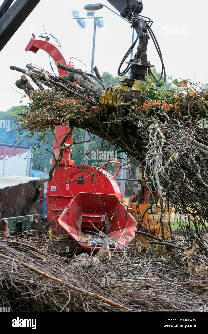 FOREST RESIDUES are tiled for energy recovery in the thermal plants ...