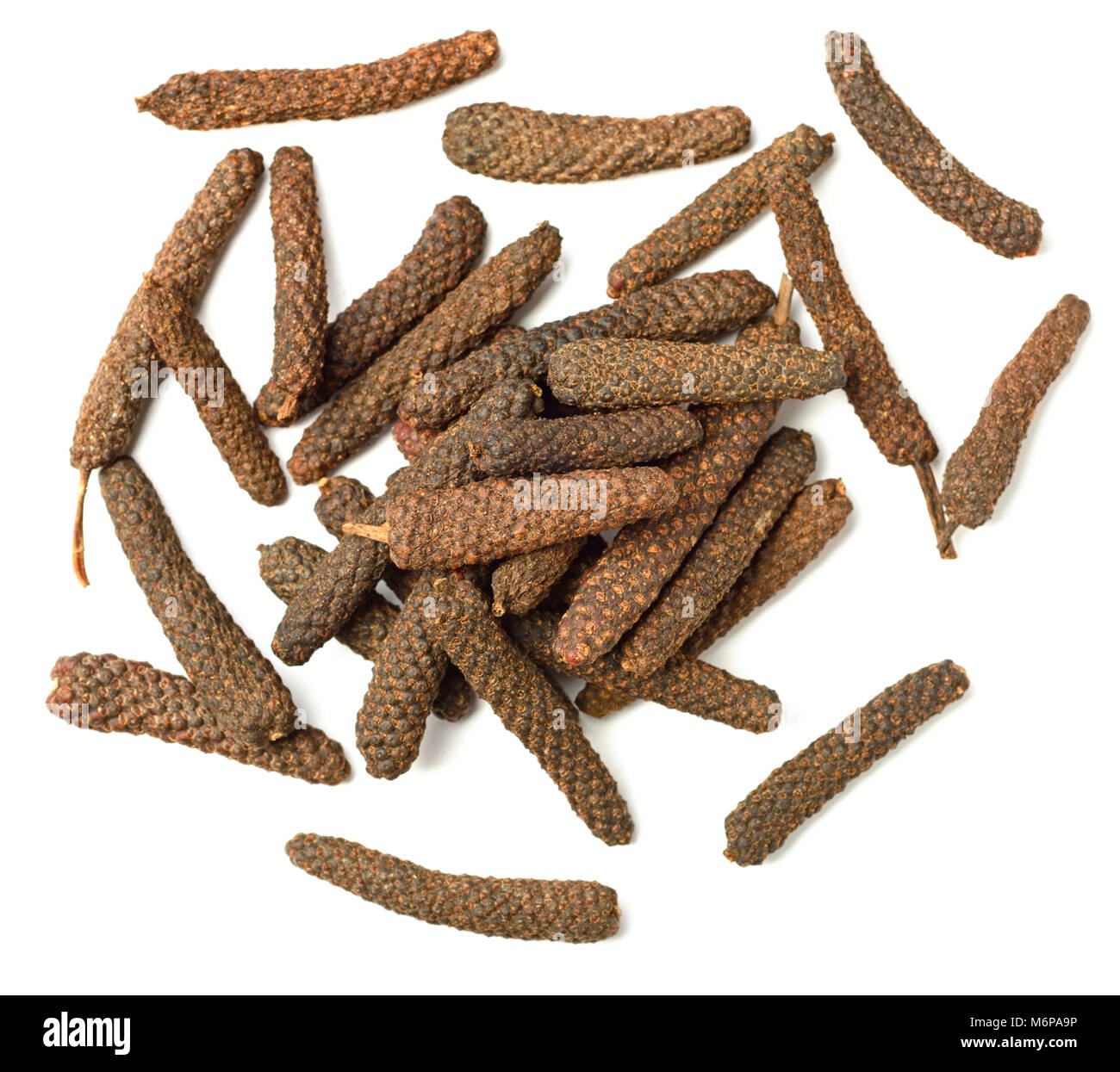 dried long pepper, piper longum isolated on white background Stock ...