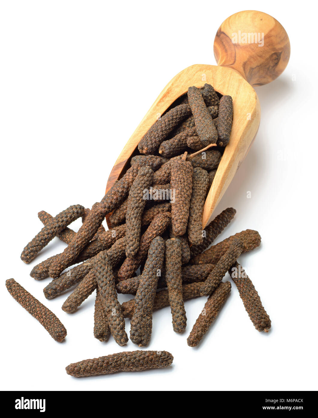 dried long pepper, piper longum isolated on white background Stock ...