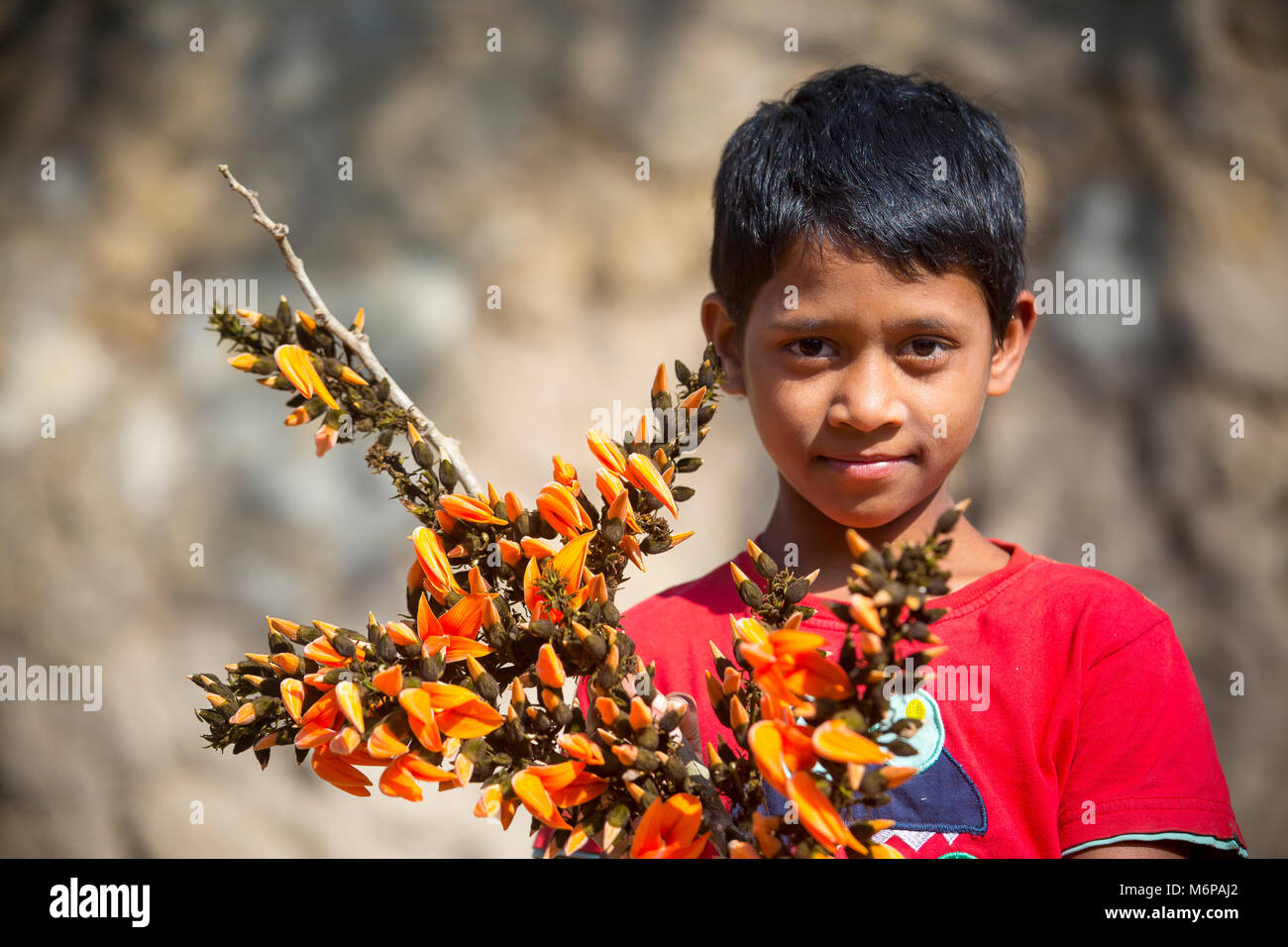 Bangladeshi beautiful girl hi-res stock photography and images - Alamy