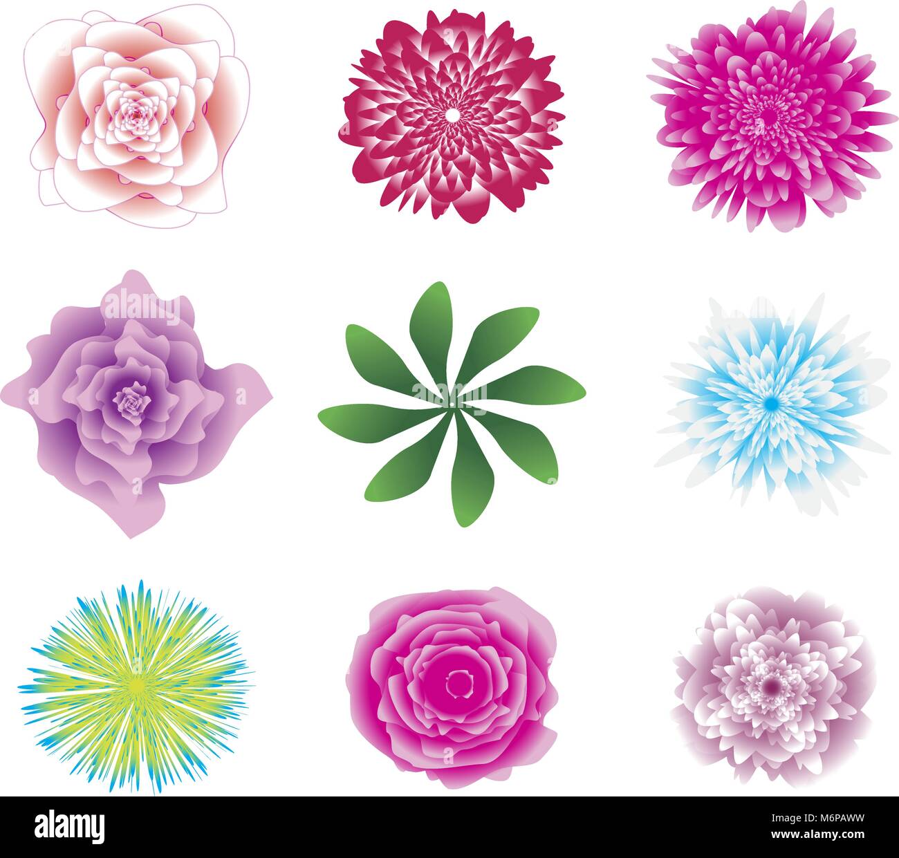 Flower set. Beautiful coloured flowers and leaves isolated on white ...