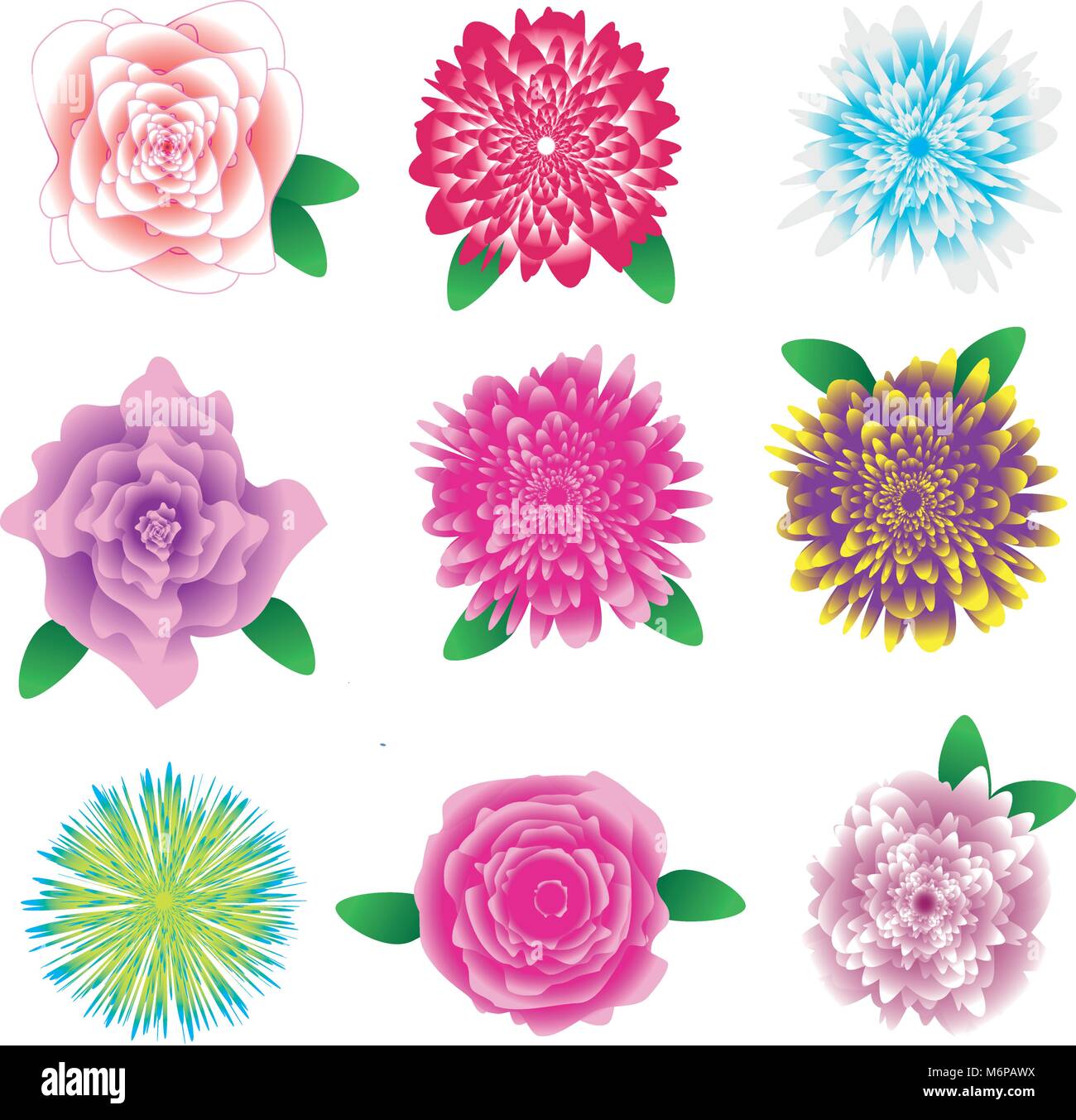 Flower set. Beautiful coloured flowers and leaves isolated on white ...