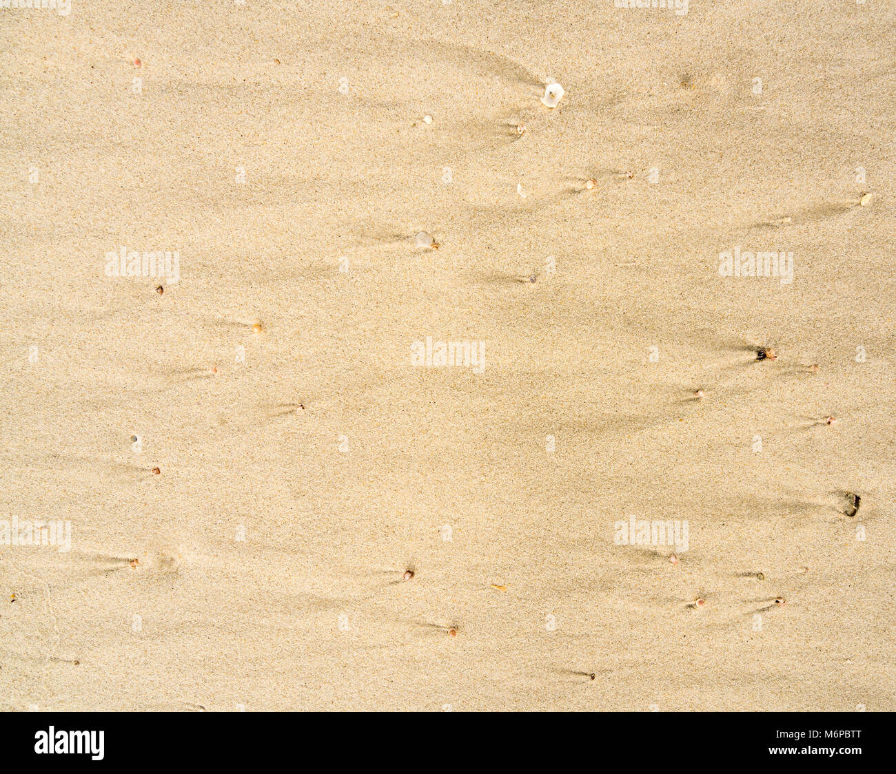 Sand Background Repeat