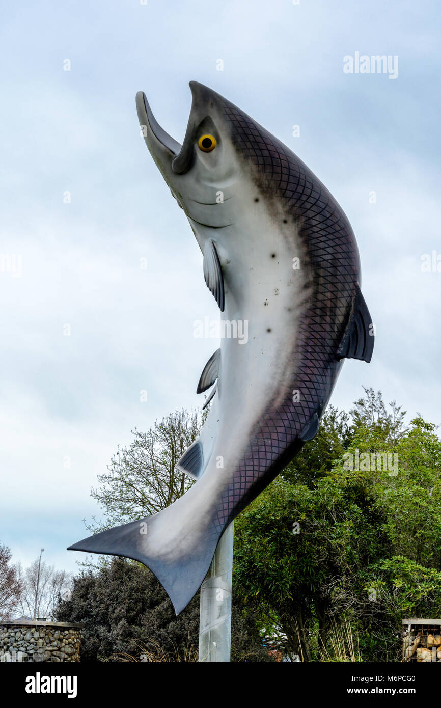 Rakaia hi-res stock photography and images - Alamy