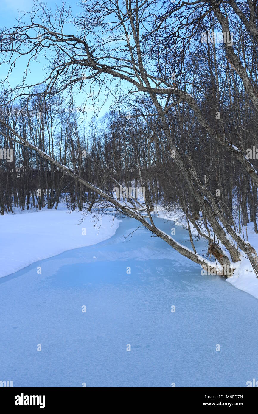 Frozen river forest blue hi-res stock photography and images - Alamy