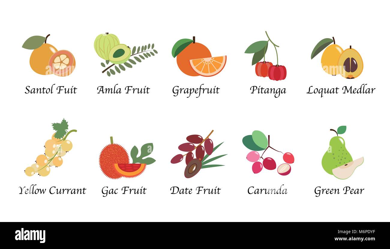 Organic nature health fruit isolated vector collection set Stock Vector ...