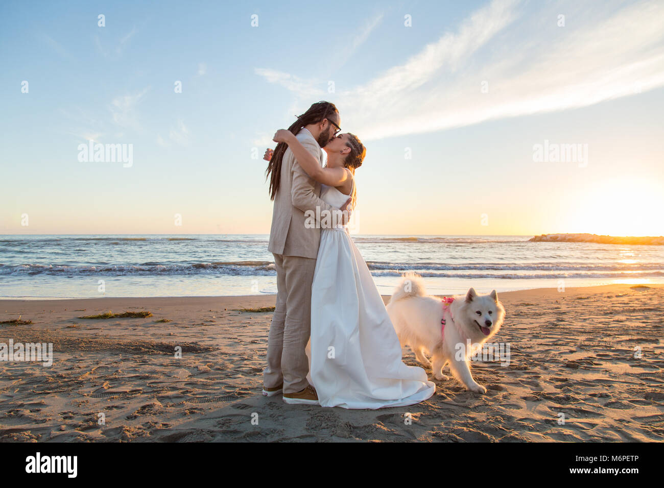 Elegant samoyed hi-res stock photography and images - Alamy