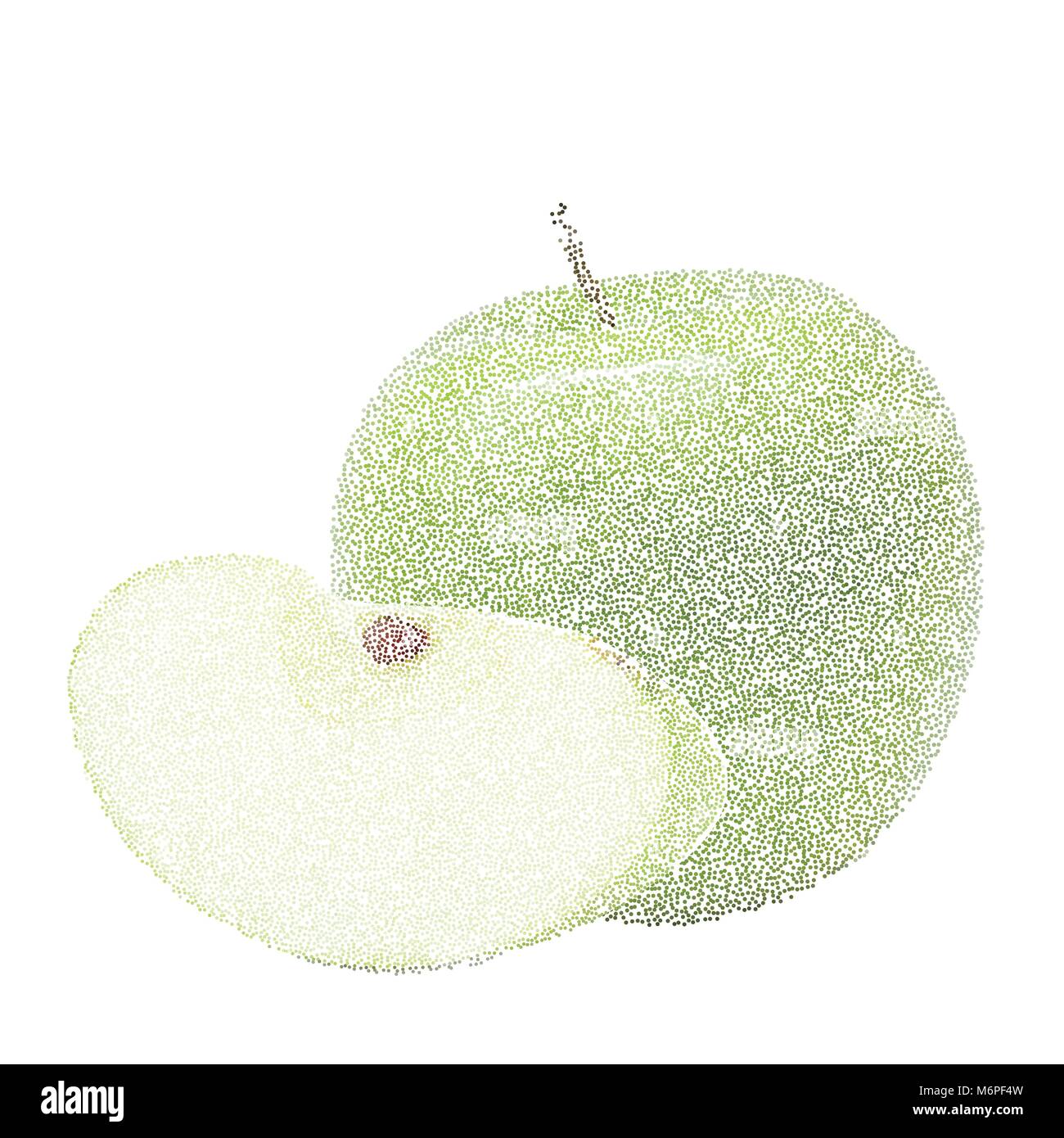 Tropical nature fresh colorful stippling fruit isolated vector green ...