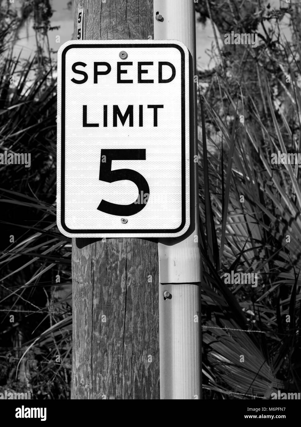 Speed limit 5 mph hi-res stock photography and images - Alamy