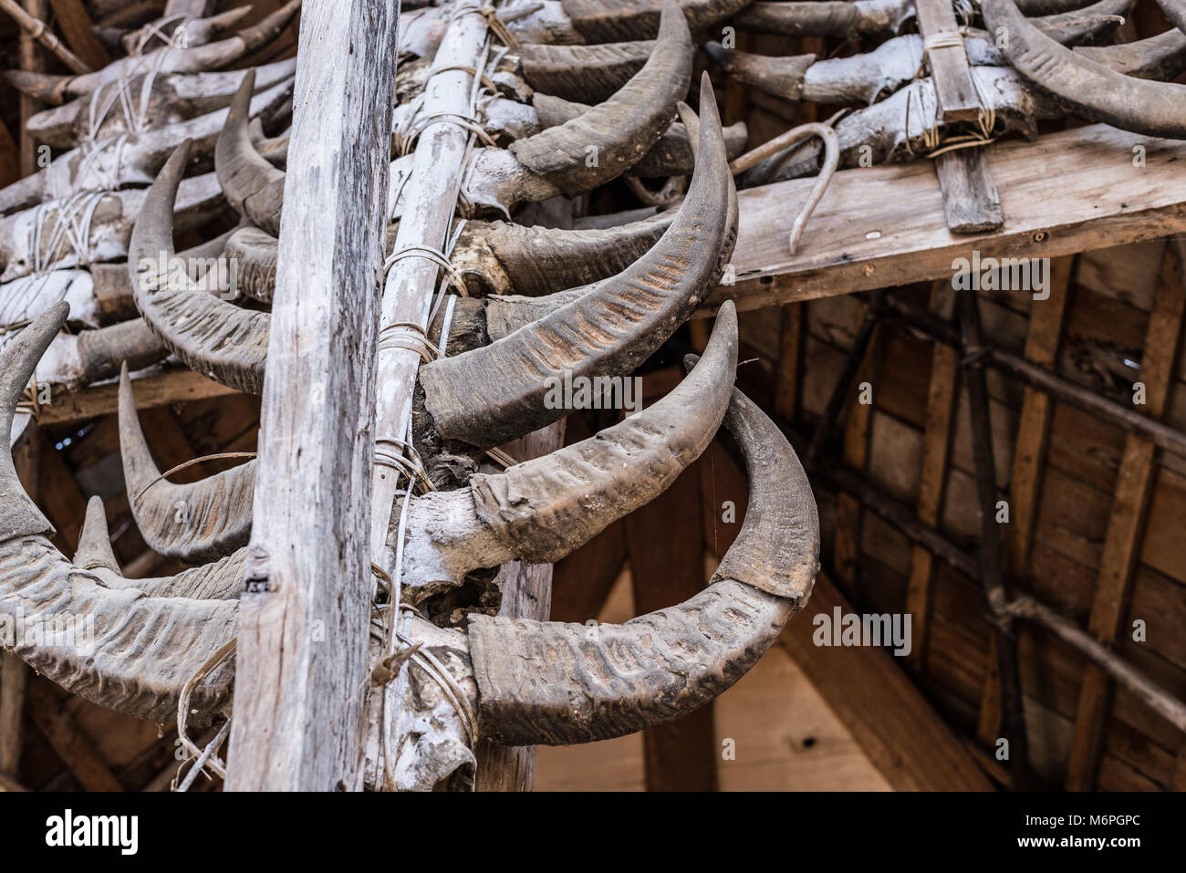Buffalo horns decorate the facade of a rich family traditional house ...