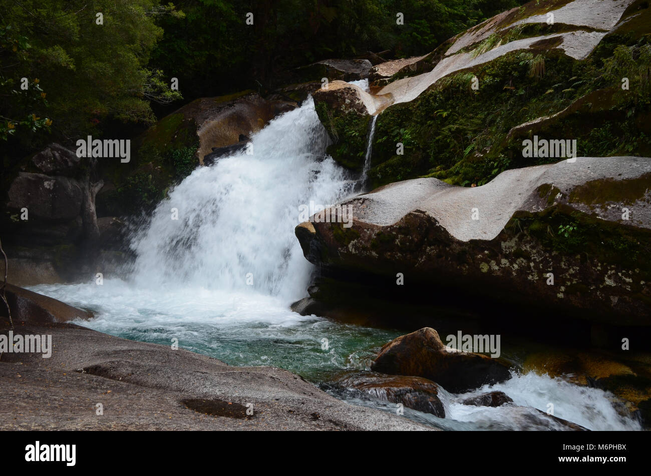 Valdivian temperate rainforests in southern Chile (Chilean Patagonia ...