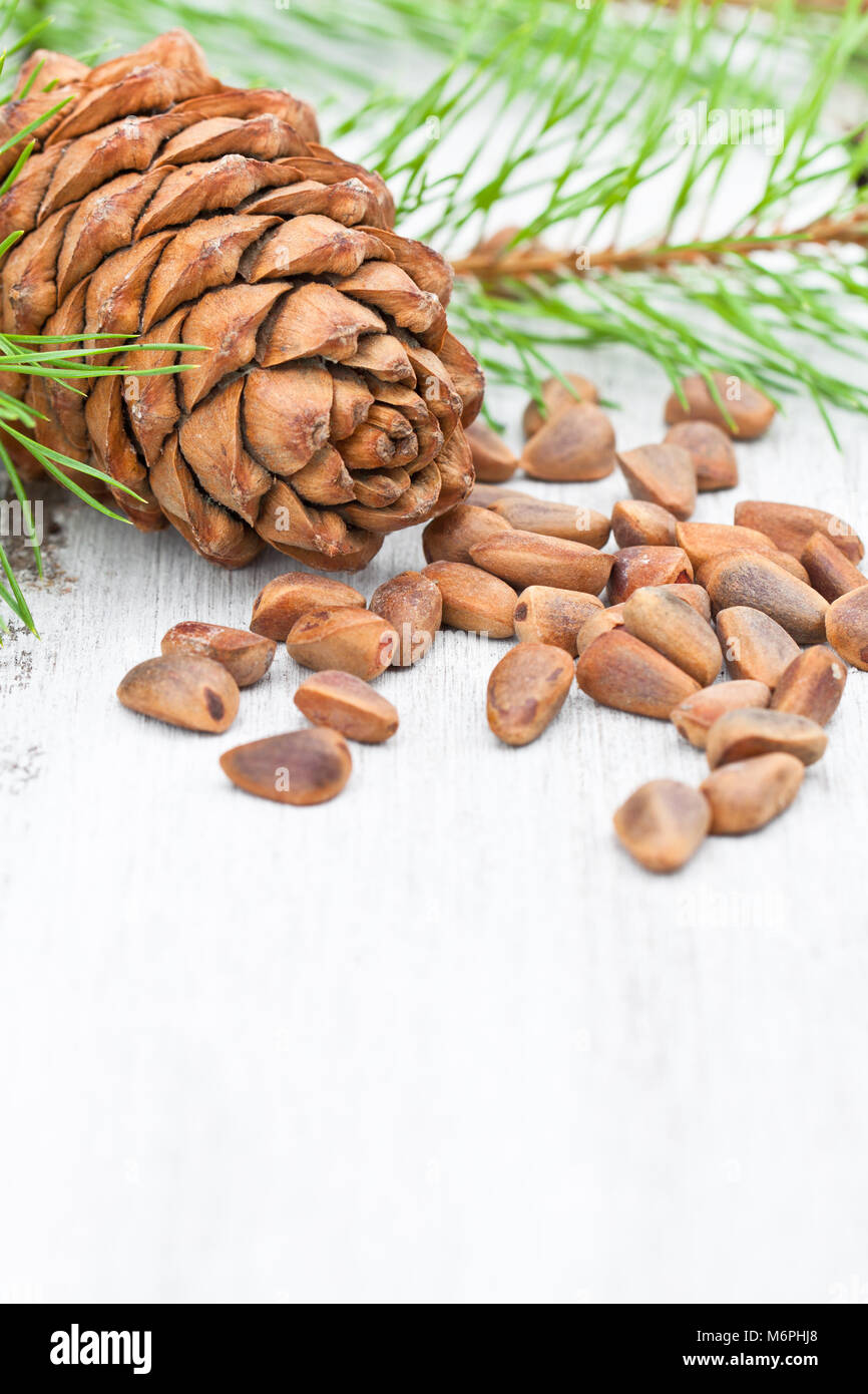 Cedar nuts and cedar cones on white background Stock Photo - Alamy