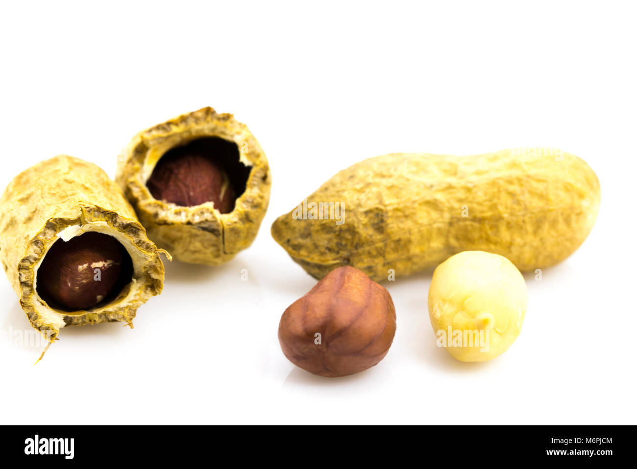 Opened Peanuts on the white background, fracture single peanut Stock ...