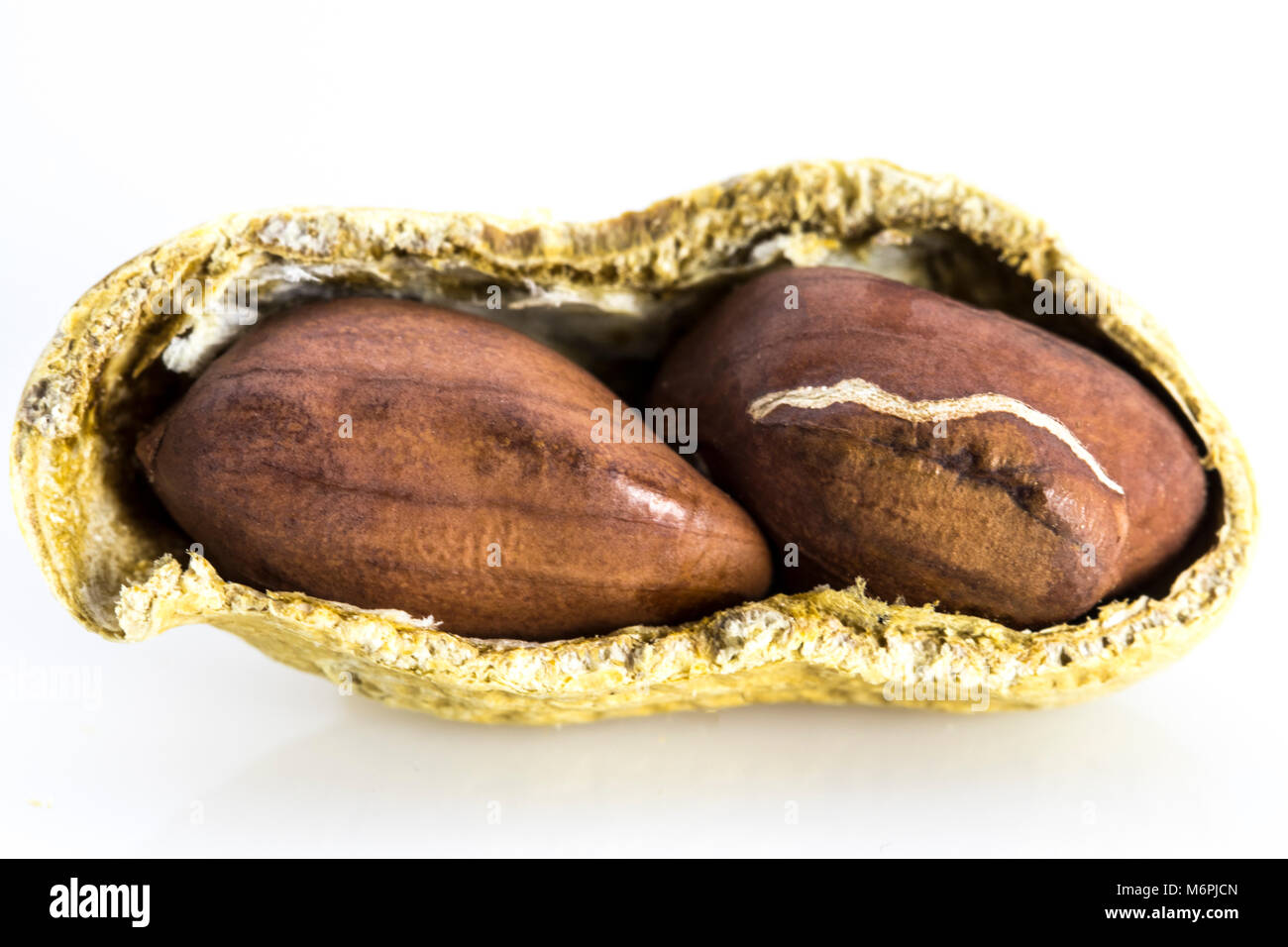 Opened Peanuts on the white background, fracture single peanut Stock ...