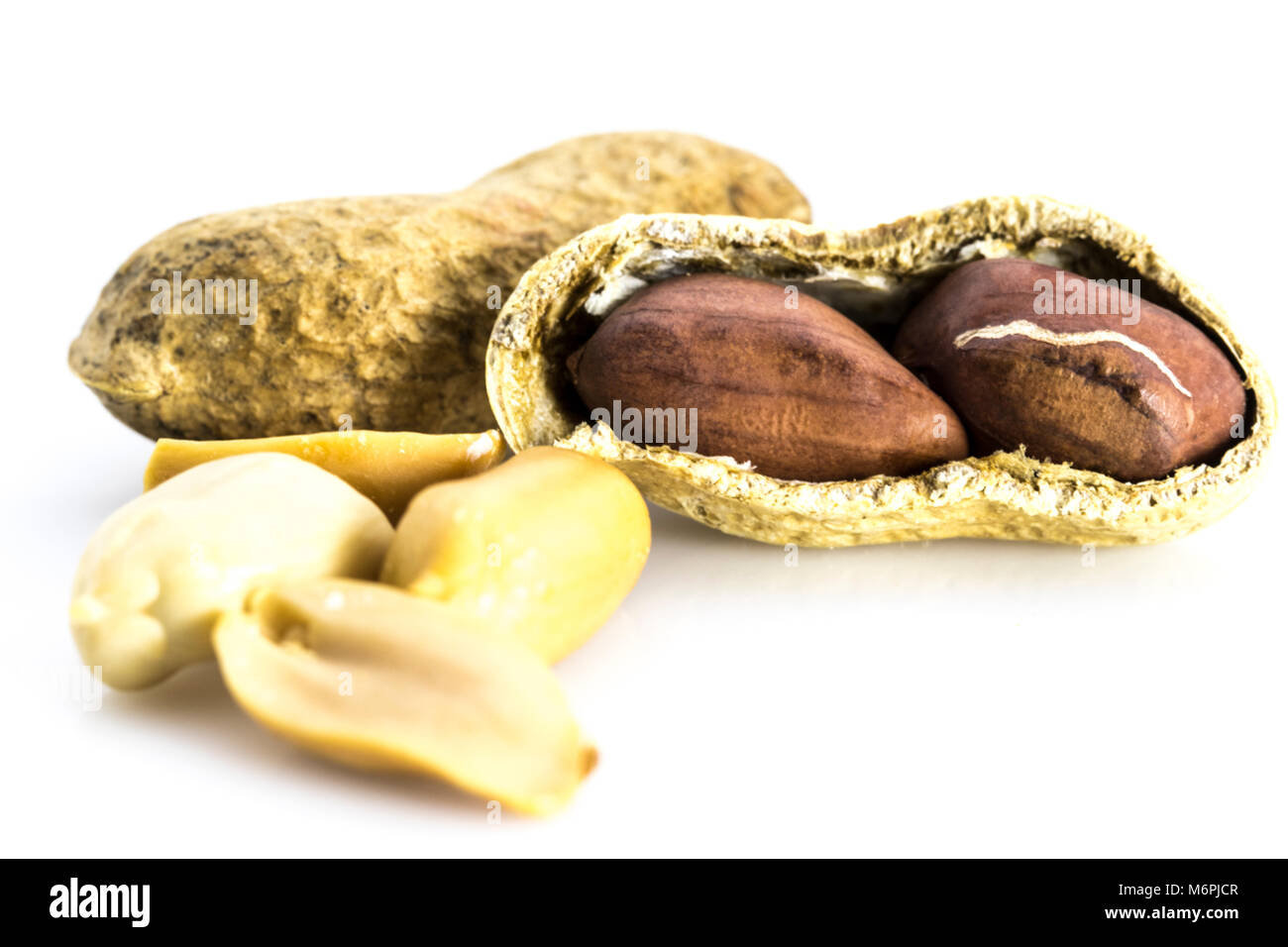 Opened Peanuts on the white background, fracture single peanut Stock ...