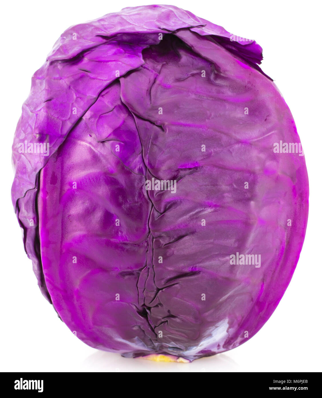 Fresh Purple cabbage isolated on a white background Stock Photo - Alamy