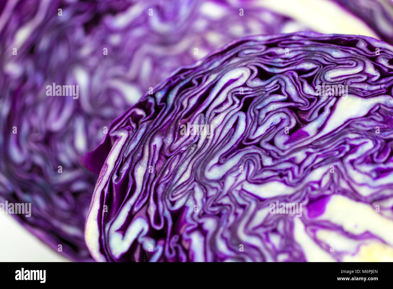 Fresh Purple cabbage isolated on a white background Stock Photo - Alamy