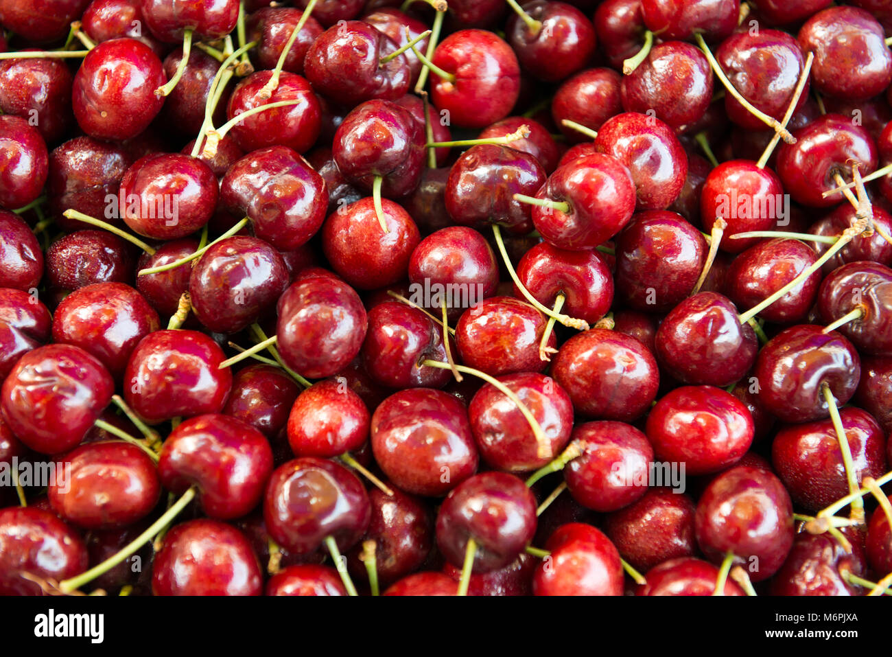 Red cherry macro closeup Stock Photo - Alamy