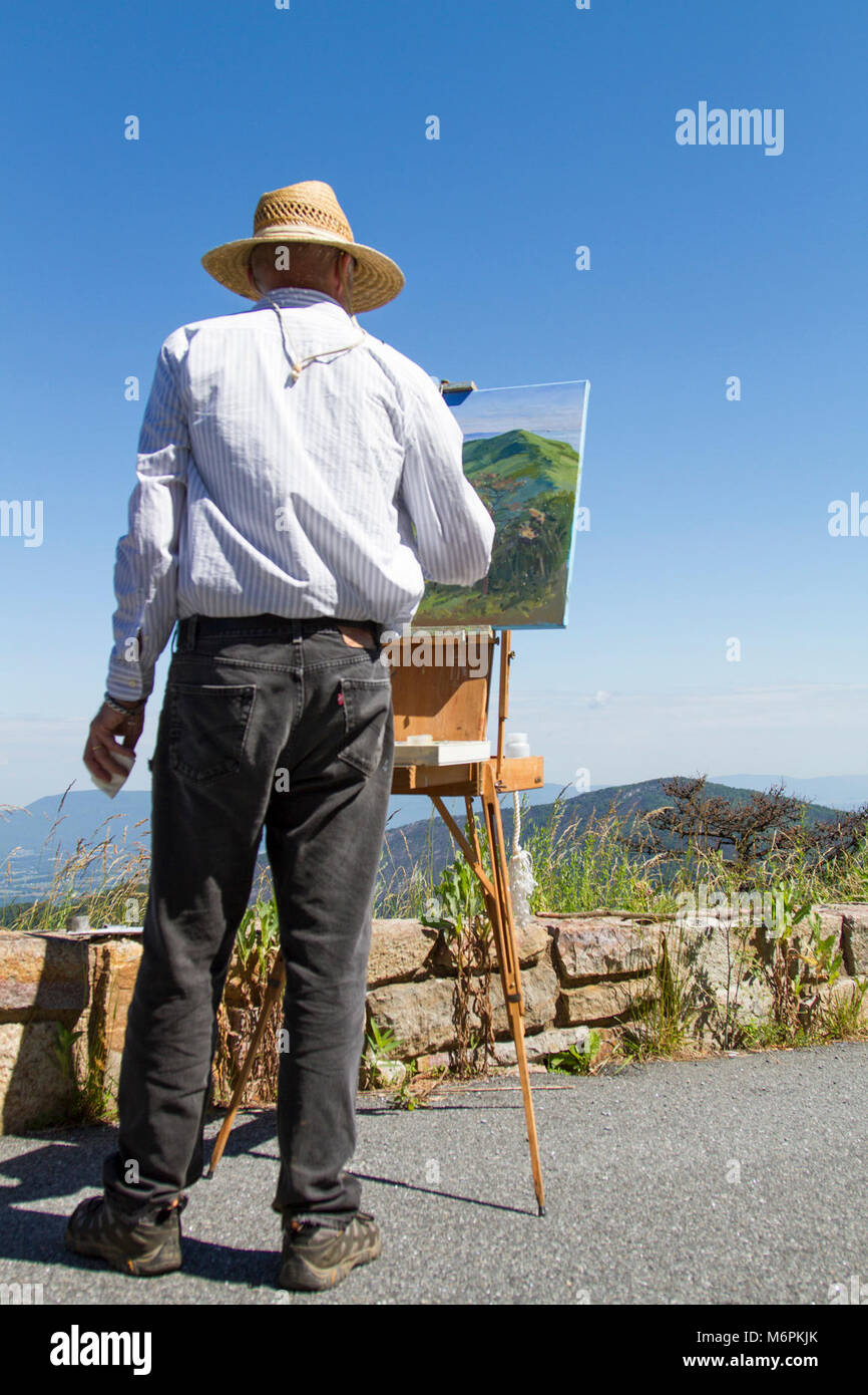 Artist-in-Residence - Summer 2017. Artist-in-Residence, Kevin H. Adams ...