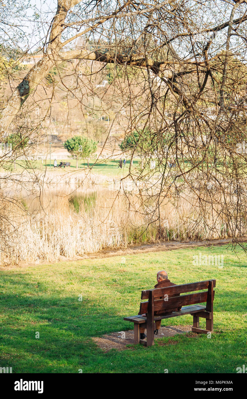 Man Alone in a Park Sitting on a Bench Stock Photo - Alamy