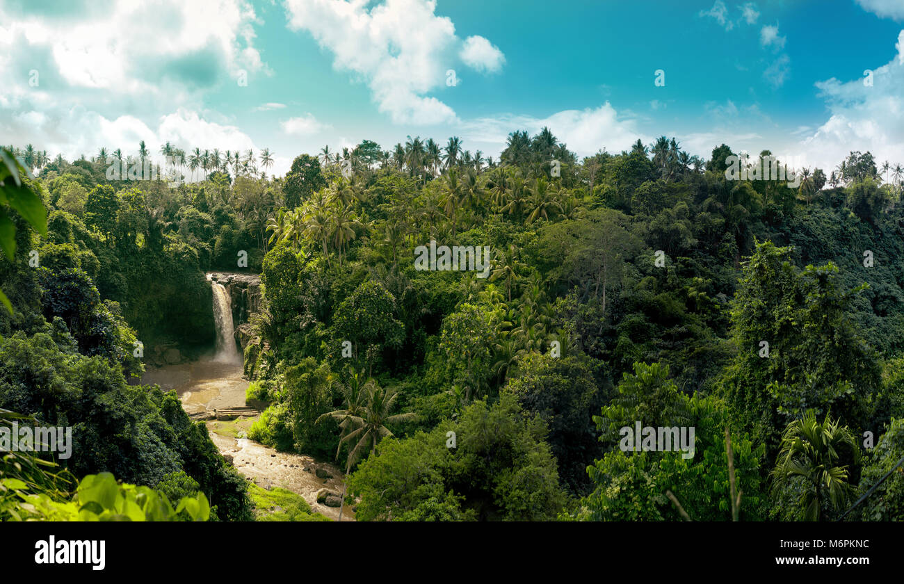 Amazon rainforest landscape waterfall hi-res stock photography and ...