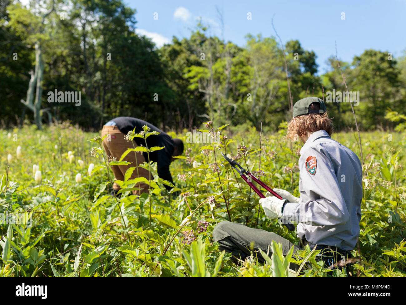 Groundwork RVA's Green Team. Groundwork RVA's Green Team participated ...