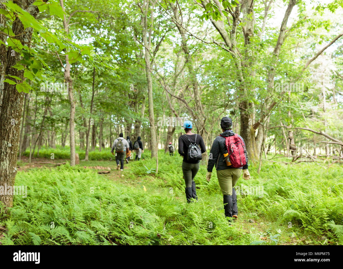 Groundwork RVA's Green Team. Groundwork RVA's Green Team participated in a service learning camp ...