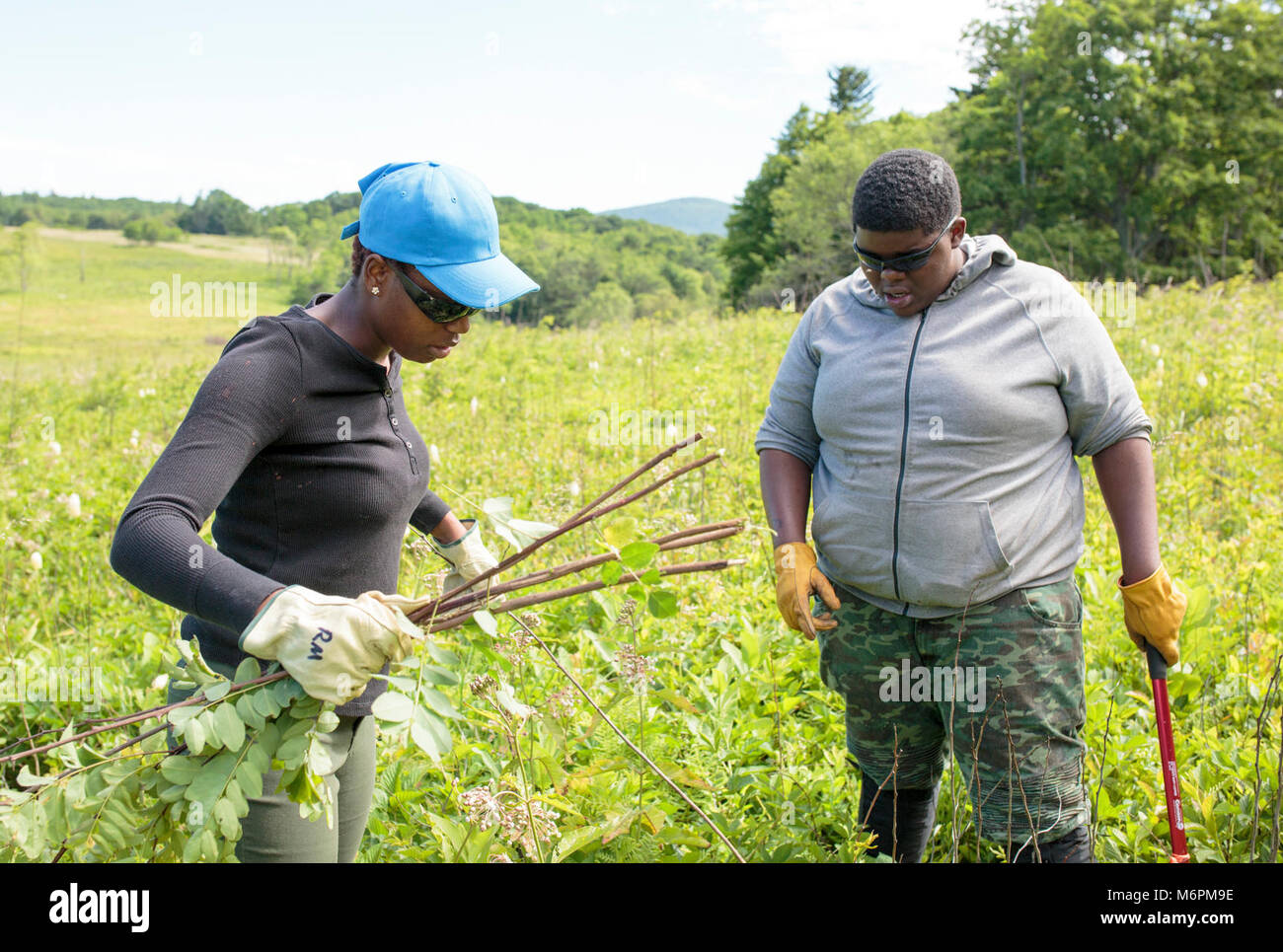 Groundwork RVA's Green Team. Groundwork RVA's Green Team participated in a service learning camp ...