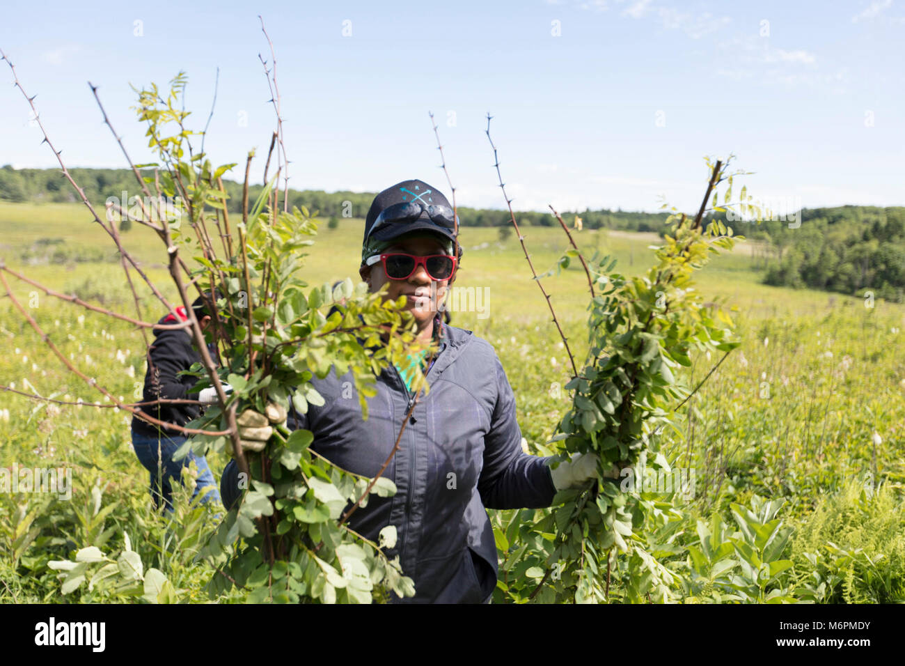 Groundwork RVA's Green Team. Groundwork RVA's Green Team participated in a service learning camp ...