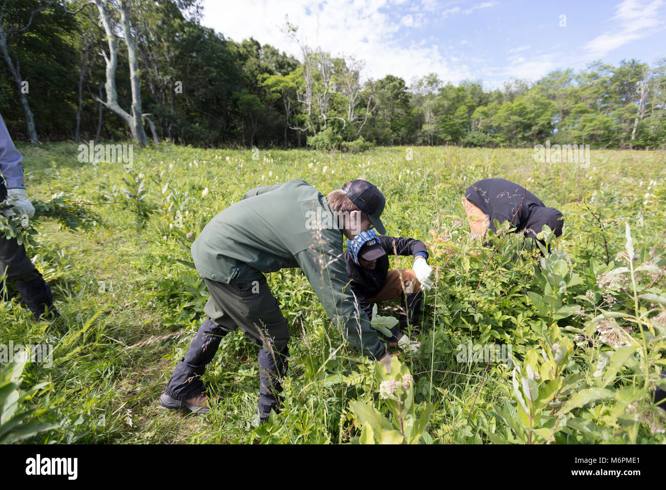 Groundwork RVA's Green Team. Groundwork RVA's Green Team participated in a service learning camp ...