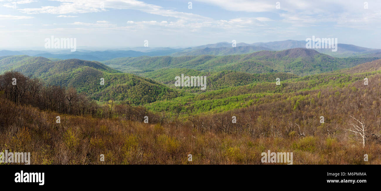 Range View Overlook Panorama. The annual spring green-up on display at ...