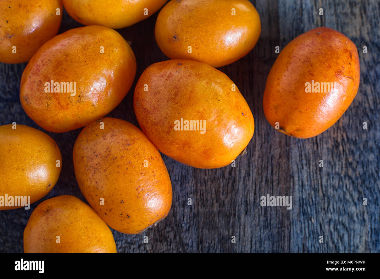 Hog plum hi-res stock photography and images - Alamy