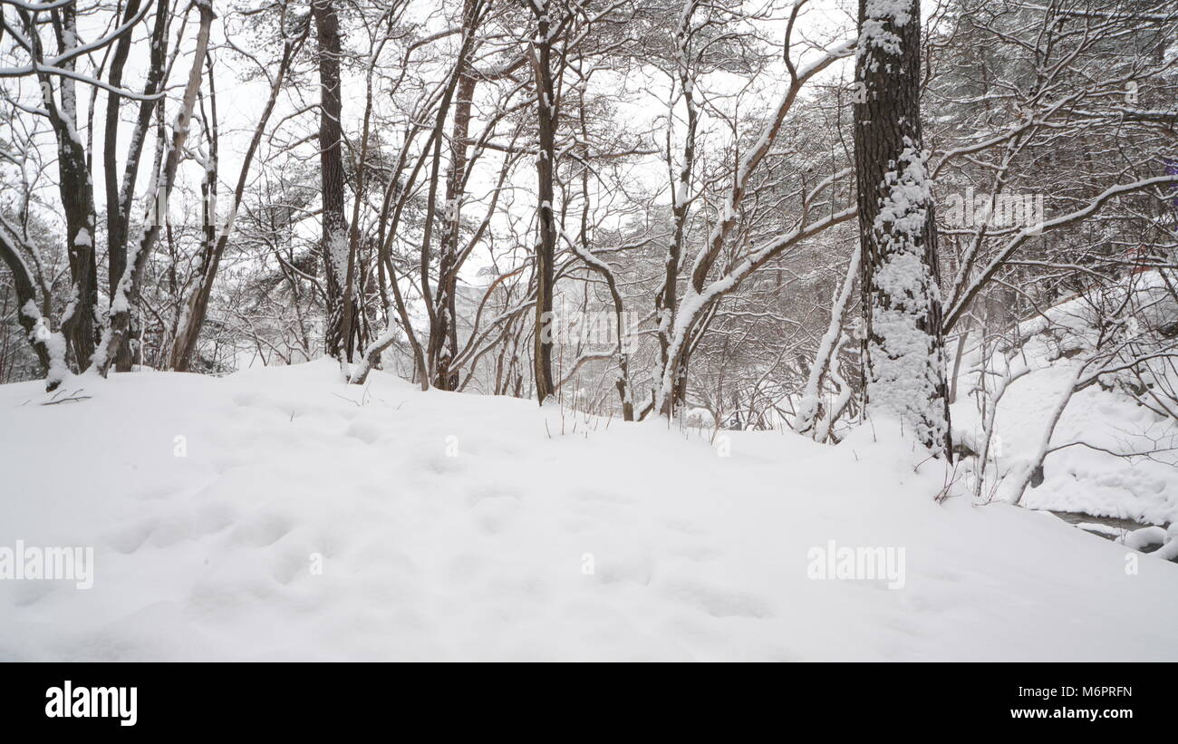 Japan kusatsu winter hi-res stock photography and images - Alamy
