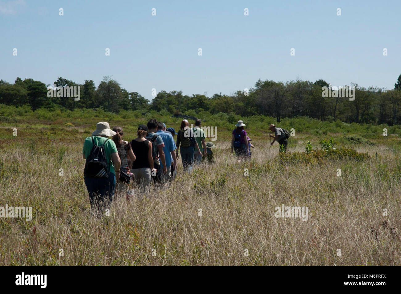 Big Meadow Walk Stock Photo - Alamy